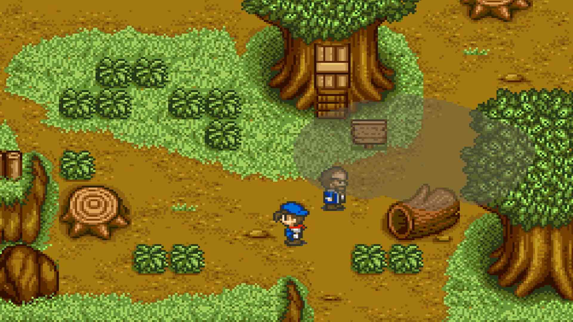 Harvest Moon Cheats Codes For SNES